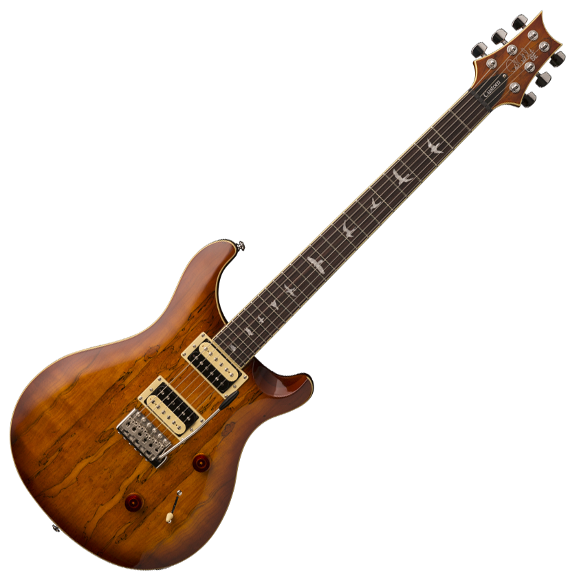 PRS 2018 SE Custom 24, Spalted Maple 2018 | Live Louder