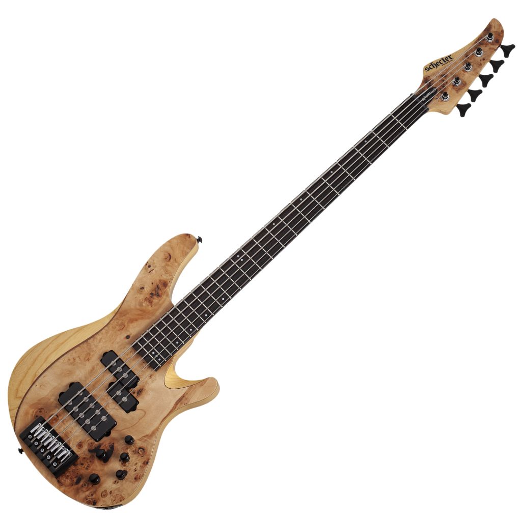 Schecter Reaper-5 NS | Live Louder