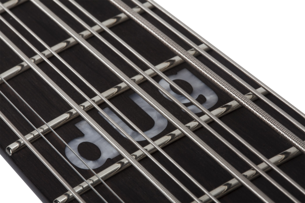 Schecter Dug Pinnick DP-12 Black LH | Live Louder